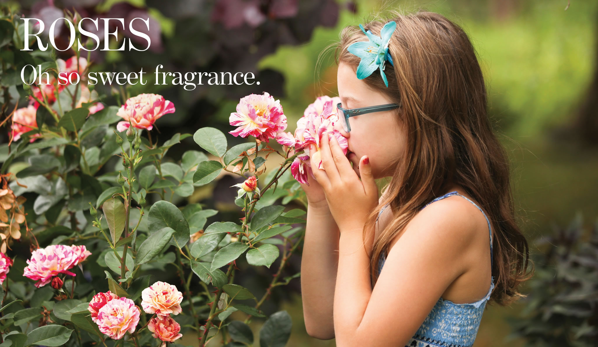 Home Page - Tesselaar