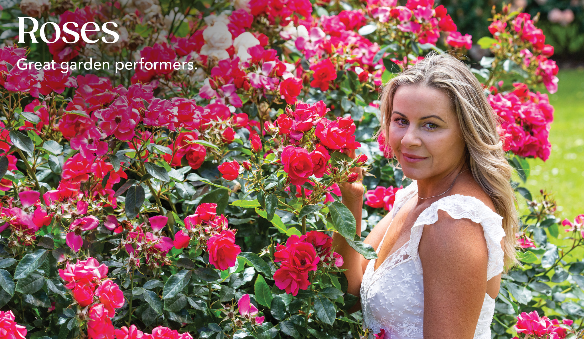 Home Page - Tesselaar