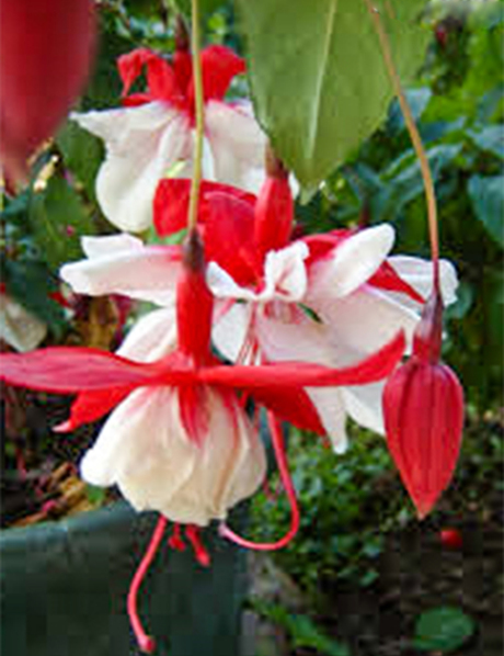 Highlights - Tesselaar